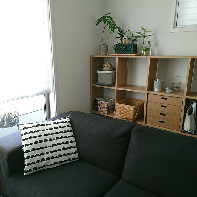 URBAN RESERCH DOORS/無印良品/エバーフレッシュ/ベンガレンシス/観葉植物...などのインテリア実例 - 2020-11 ...
