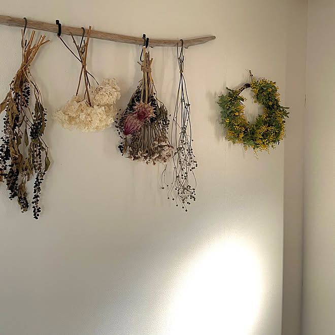 部屋全体/キャットタワー/ラグ 姉 キジトラ/ミモザのリース/ミモザのドライ...などのインテリア実例 - 2024-03-22 16:58: ...