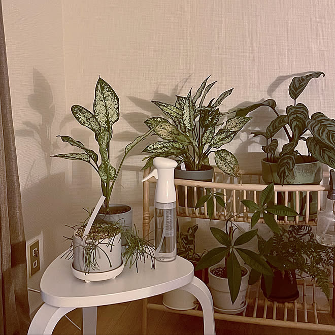 団地/6畳/賃貸/ホワイト/3DK...などのインテリア実例 - 2022-09-18 14:20:22 ｜ RoomClip（ルームクリップ）