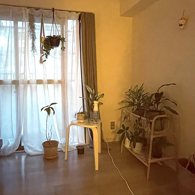 夕方/団地/シンプル/3DK/6畳...などのインテリア実例 - 2022-09-15 17:47:25 ｜ RoomClip（ルームクリップ） | RoomClip（ルームクリップ）