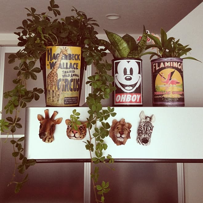 キッチン/マグネット/pinterest部/デコパージュ/観葉植物...などのインテリア実例 - 2014-02-02 10:37:42 ...