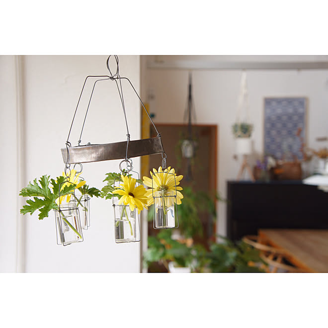 クリスマスディスプレイ/花のある暮らし/犬と猫のいる暮らし/緑と花のある暮らし/癒しの空間...などのインテリア実例 - 2020-12-27 09:27:56 ｜ RoomClip（ルームクリップ）