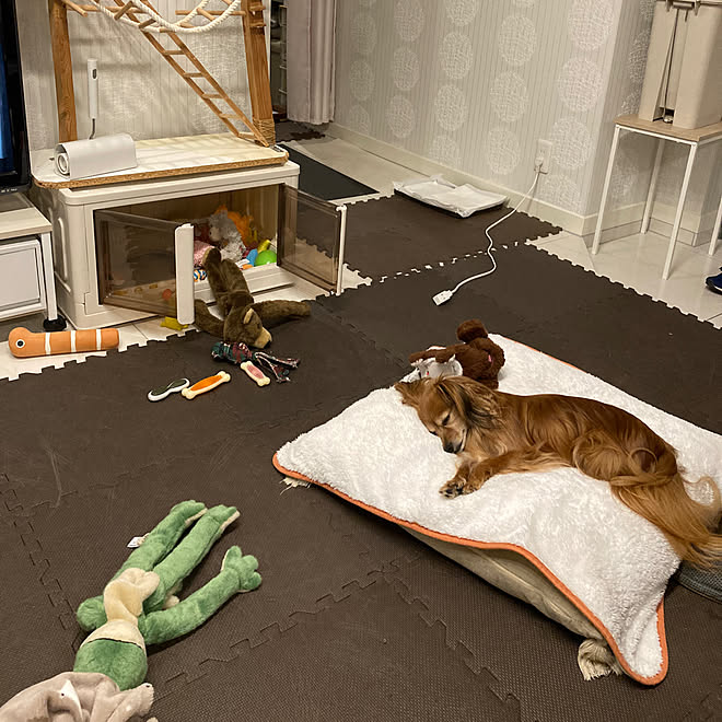 Flexispot Japan株式会社の「収納ボックス」モニター ｜ RoomClip（ルームクリップ）