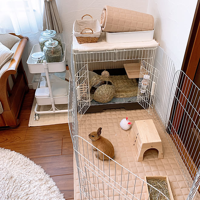 GEX ラビんぐ スマートルーム/スチールワゴントロリ/ニトリ/ケージ/うさぎのお部屋...などのインテリア実例 - 2021-07-20 20:19:39 ｜ RoomClip（ルームクリップ）