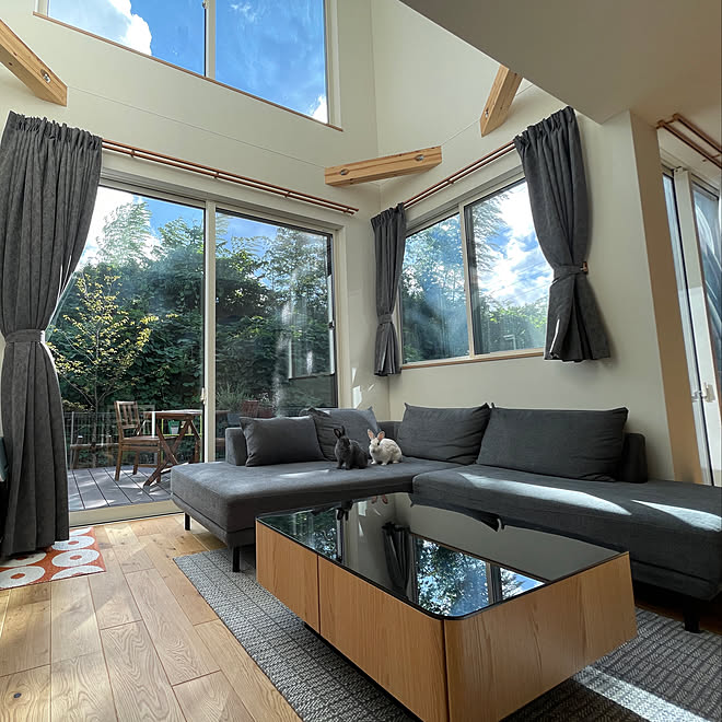 心地よい暮らし/住友林業/ペットのいる暮らし/ペットと暮らす/ペット...などのインテリア実例 - 2022-09-19 22:23:57 ｜ RoomClip（ルームクリップ）