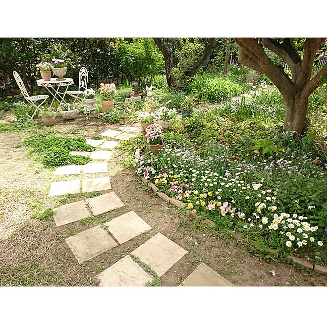 部屋のインテリア実例、オススメ30枚をピックアップ vol.2898 ｜ RoomClip（ルームクリップ）