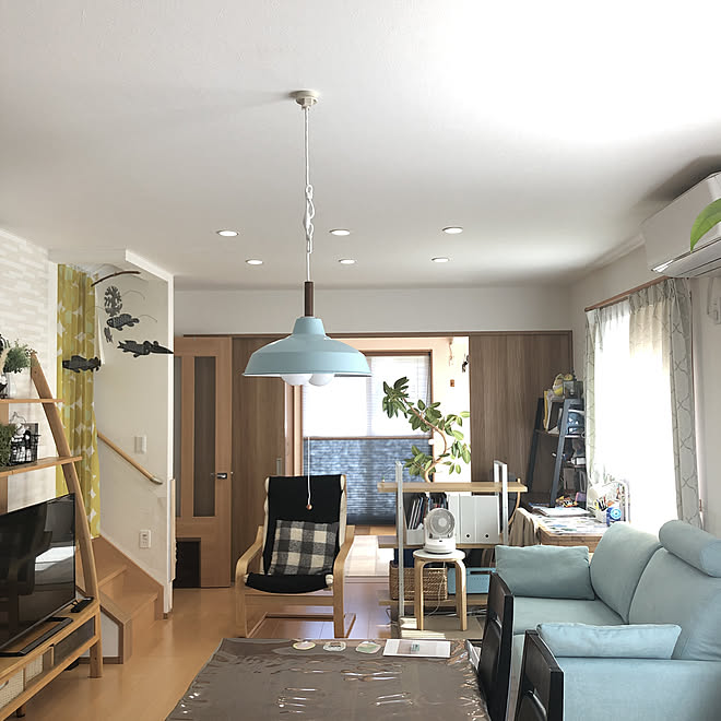 ライトブルー/猫と暮らす家/縦長LDK/高野木工/Leoソファ...などのインテリア実例 - 2022-10-19 11:47:22 ｜ RoomClip（ルームクリップ）