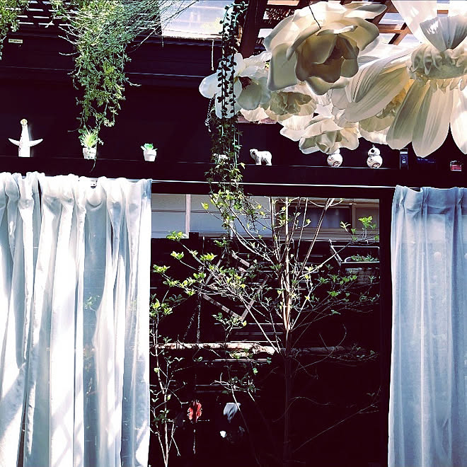 お片付けユルユルやる！/サンルームのある家/日本家屋/玄関/入り口のインテリア実例 - 2020-04-11 10:44:00 ...