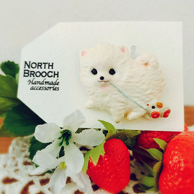 NORTH BROOCHの33rrさん/わんちゃん♡/ブローチ/ほっこり♡/ミンネで購入...などのインテリア実例 - 2019-03-19 ...