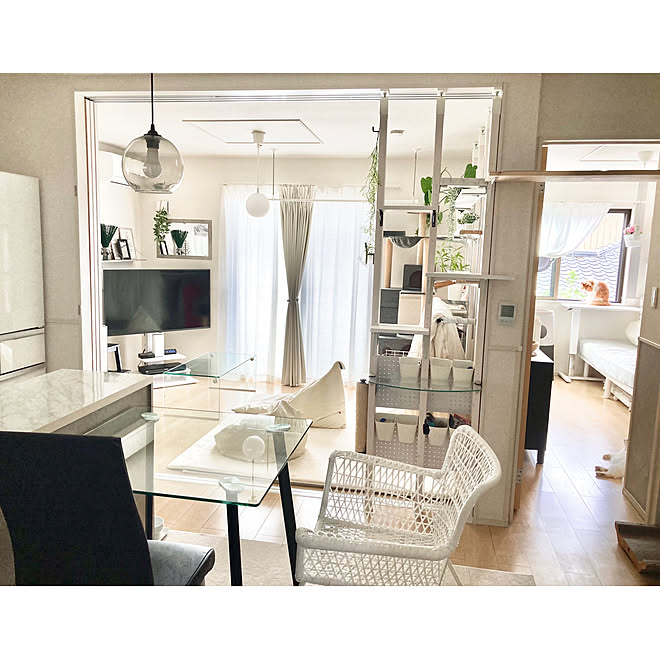 猫と暮らす家/2DK 賃貸/ニトリ/モノトーン/カインズ...などのインテリア実例 - 2022-11-01 12:09:09 ｜ RoomClip（ルームクリップ）