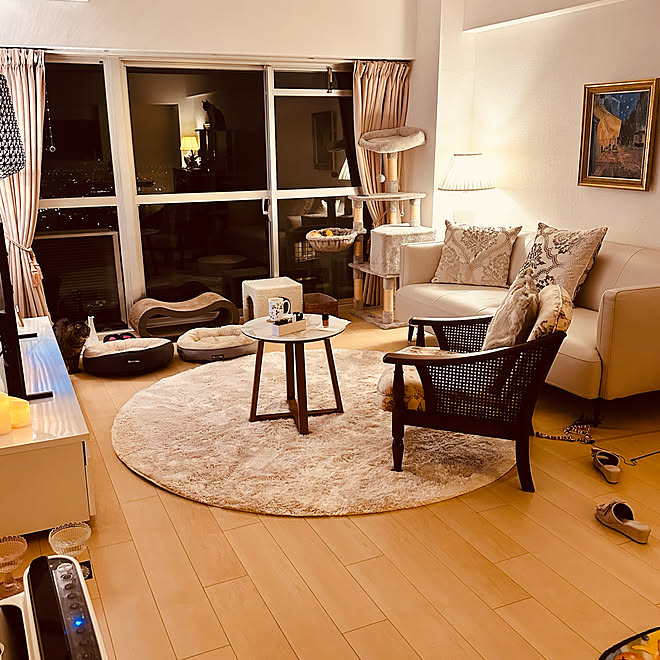 3LDK一人暮らし/ベージュインテリア/3LDK/ねこと暮らす/猫と暮らす家...などのインテリア実例 - 2022-11-11 13:35:08 ｜ RoomClip（ルームクリップ）