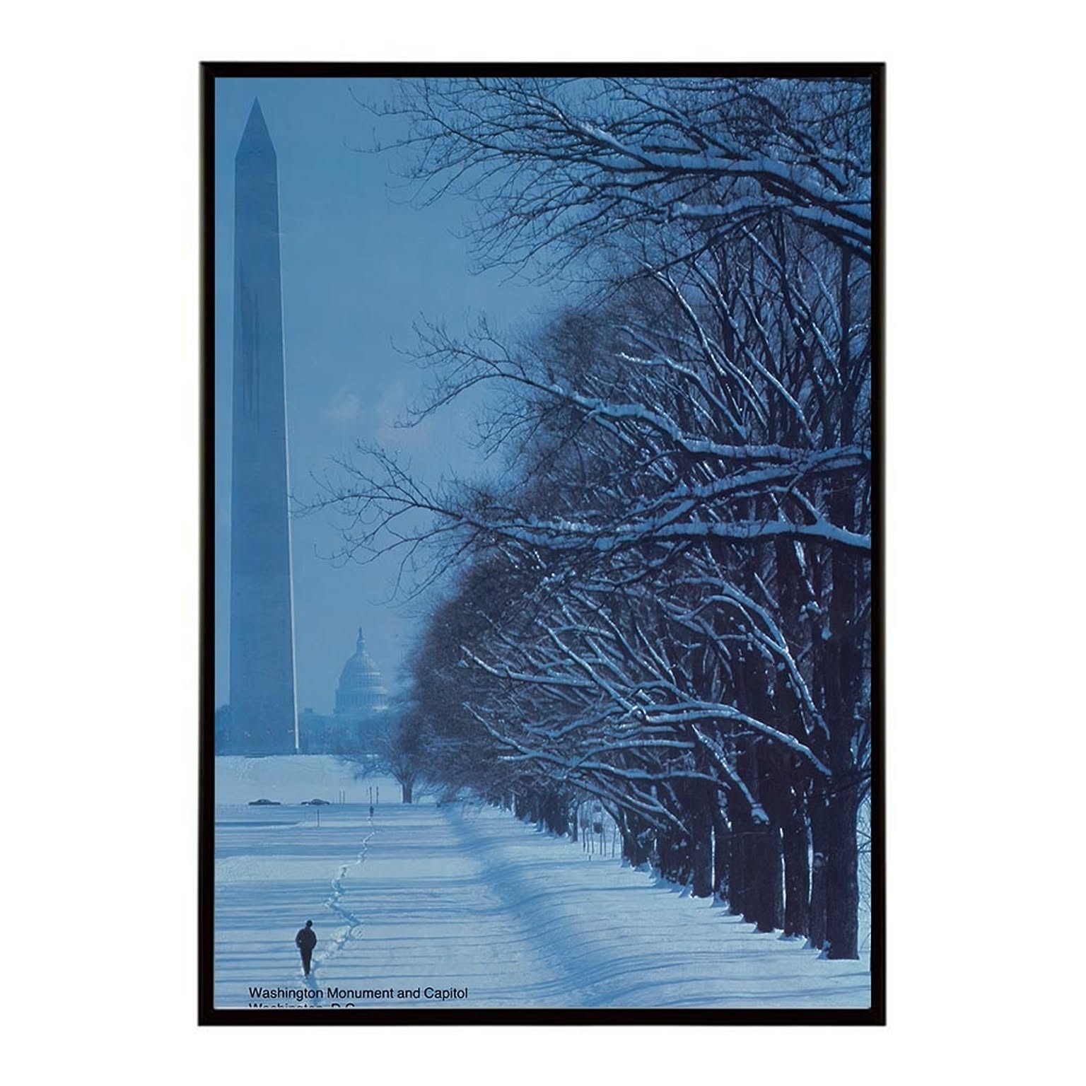 EFPI Scenically_Yours_Washington_Monument_and_Capi【bn-poster-1506】 - 通販 | 家具とインテリアの通販【RoomClip ...