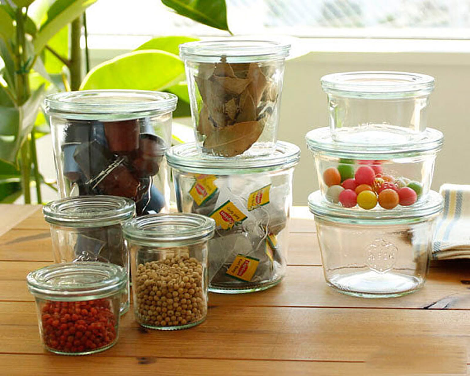 ウェック WECK ウェック モールドシェイプ WE976 ガラスキャニスター 165ml 直径Mサイズ 6個セット - 通販 | RoomClipショッピング