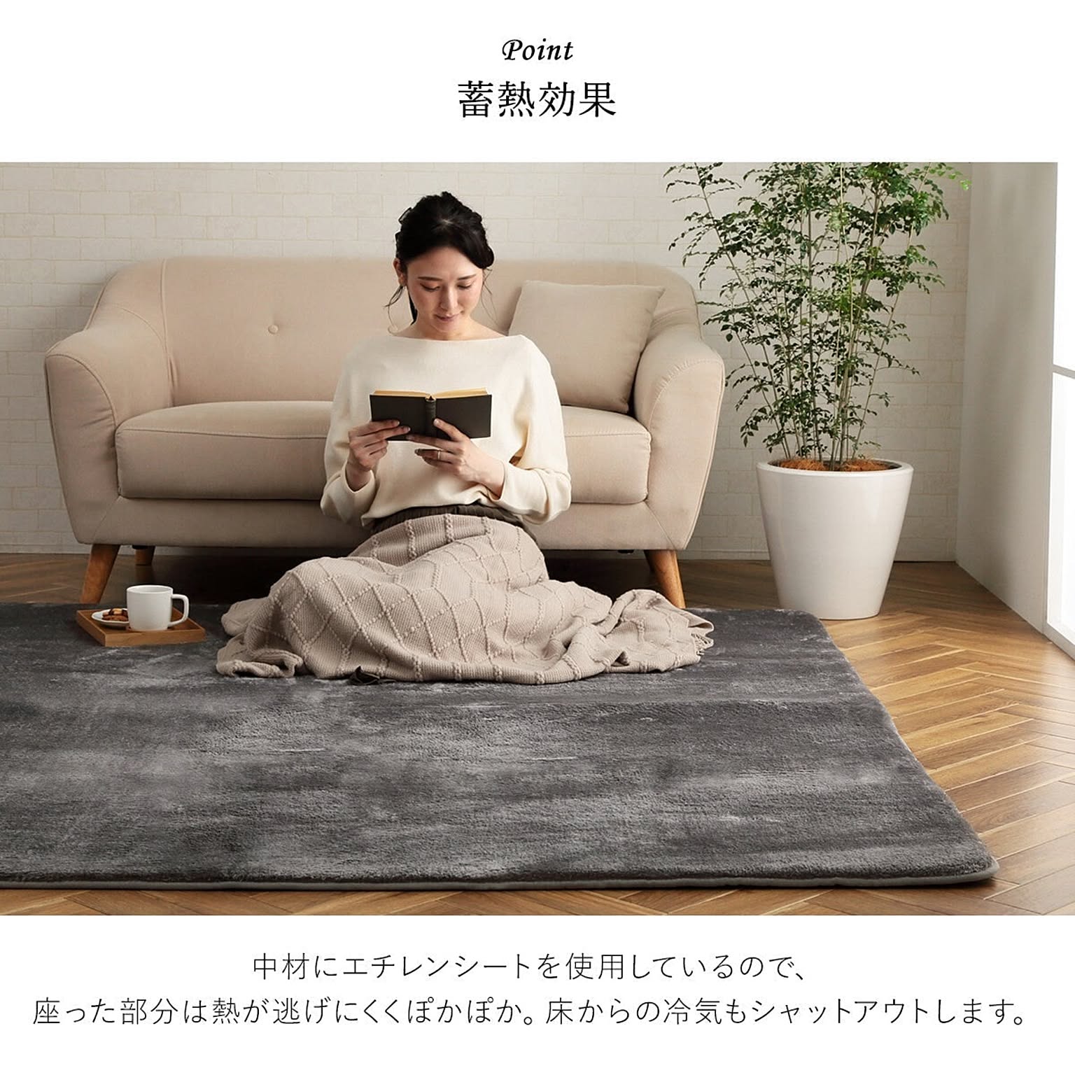 イケヒコ・コーポレーション ラグ ライティ 3986189 - 通販 | RoomClipショッピング